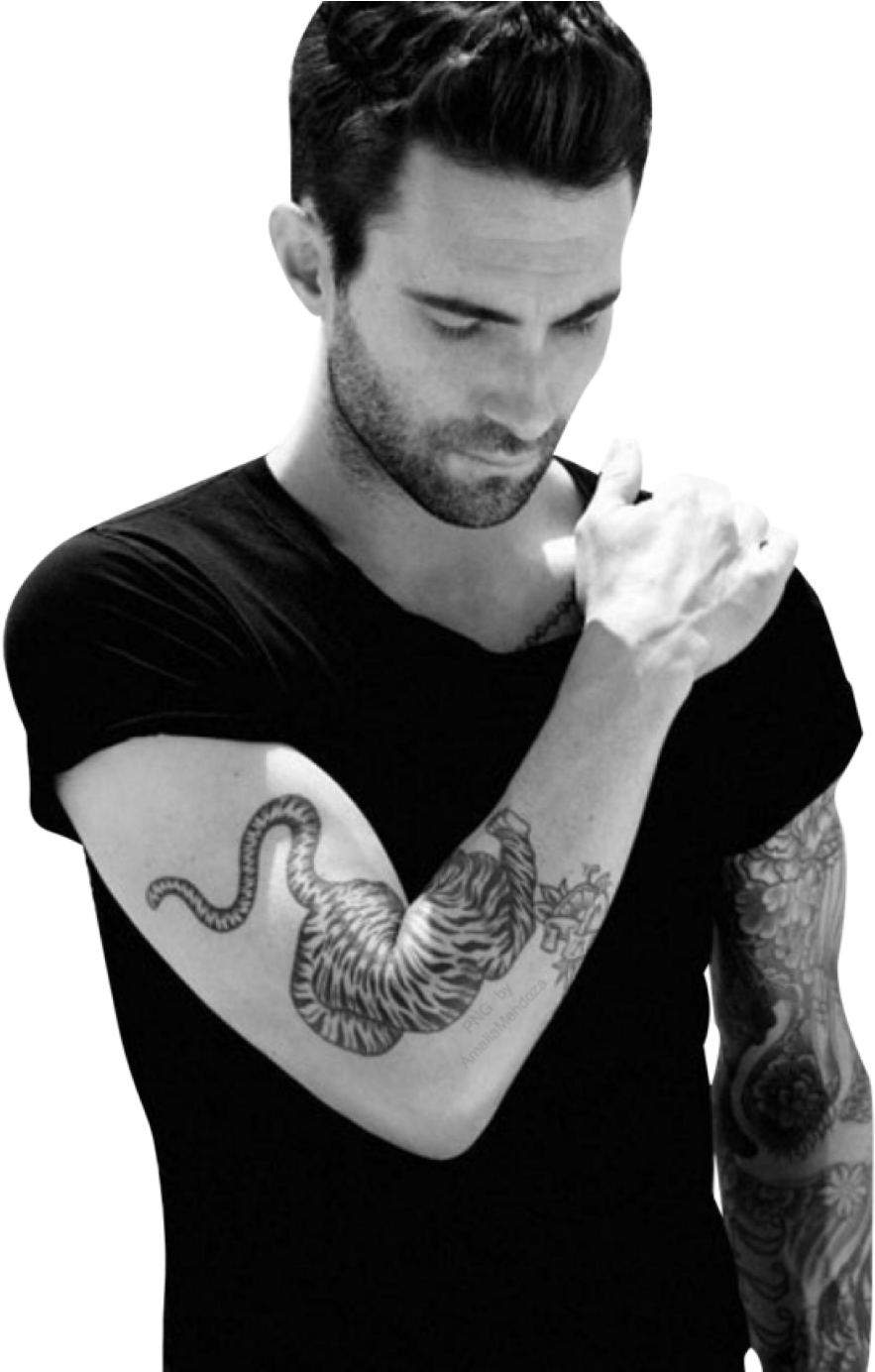 Download Report Abuse - Adam Levine - Full Size PNG Image - PNGkit