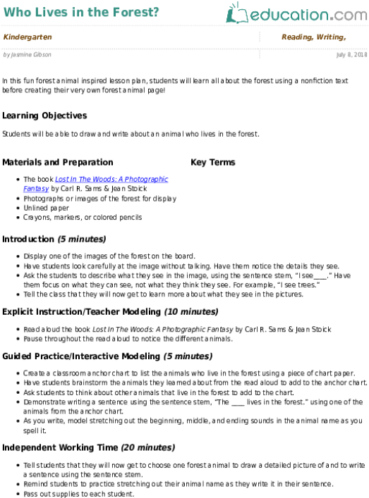 Download Who Lives In The Forest - Parts Of The Tree Lesson Plan - Full ...