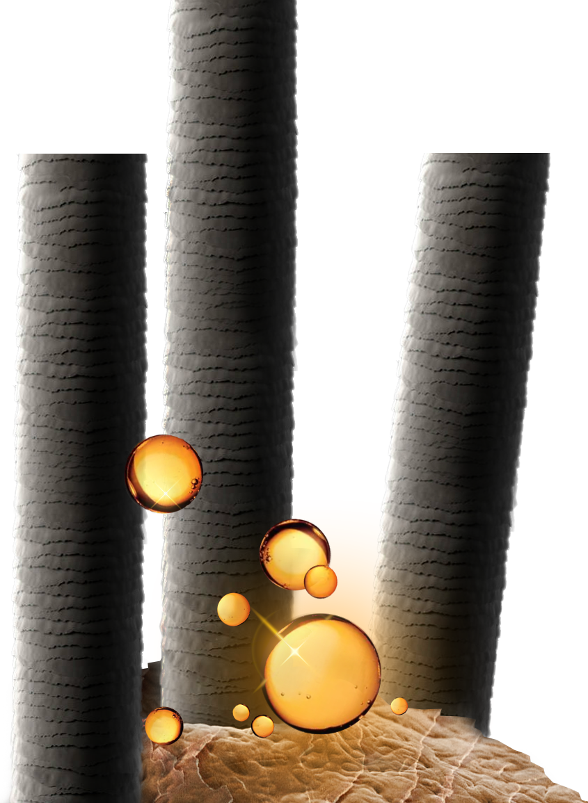 Download Balancing Regimen Hair Shampoo - Hair - Full Size PNG Image ...