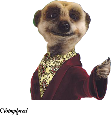 Download Meerkat - Compare The Market - Full Size PNG Image - PNGkit