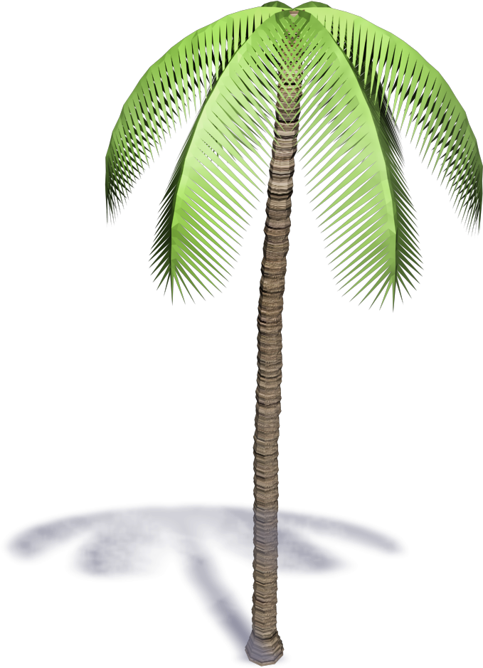 Download Palm Tree - 3d Palm Tree Bim Png - Full Size PNG Image - PNGkit