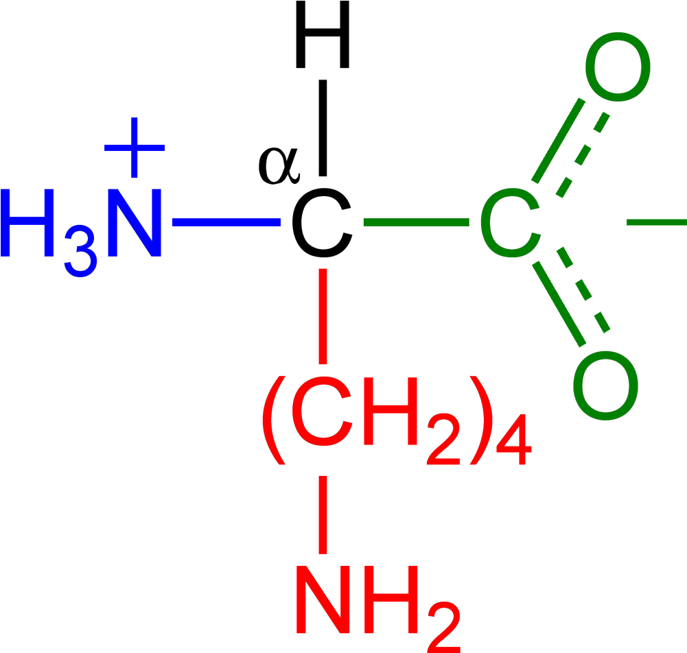 Download Full Size - 2 Methylbutylamine - Full Size PNG Image - PNGkit