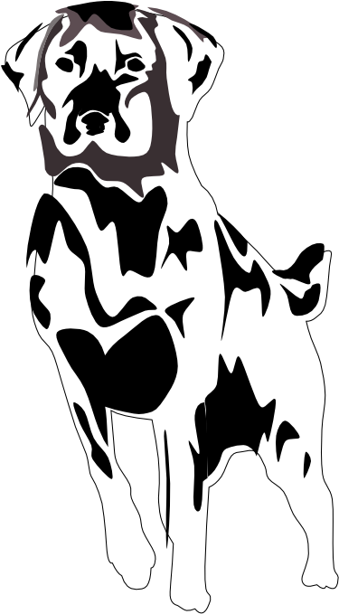 Download Black Lab Black White Line Art 555px - Labrador Retriever ...