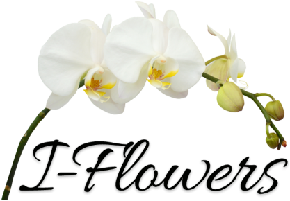 Download Phoenix, Az Florist - Woodware Clear Stamps - Farewell Goodbye ...