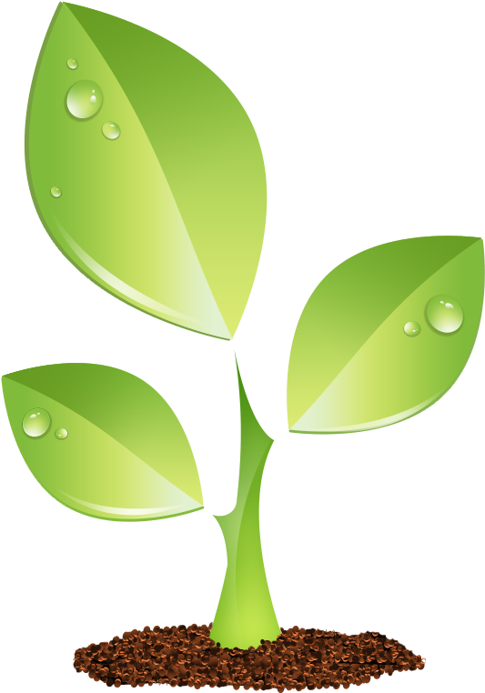 Download S E E D E D C O N T E N T - Sapling Icon Png - Full Size PNG ...
