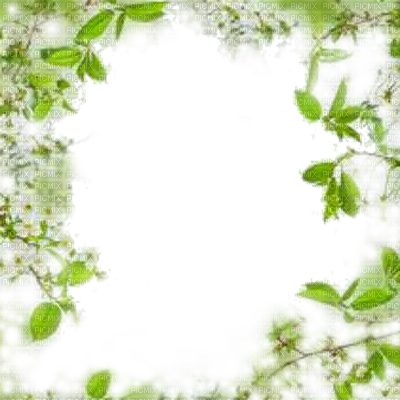 Download Spring Leaves Frame - Natur Hintergrund Rand - Full Size PNG ...