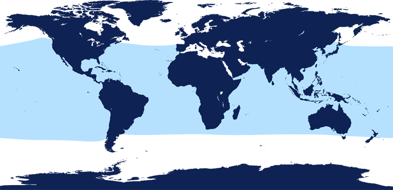 Download Dwarf Sperm Whale Range - Minke Whale Distribution Map - Full ...