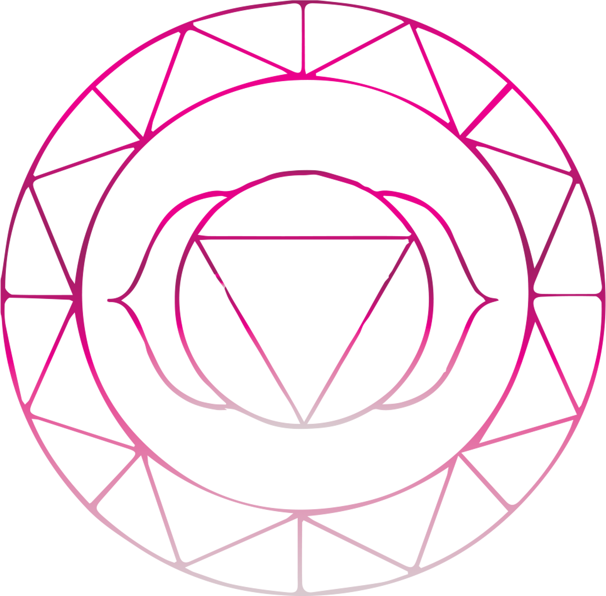 Download Circulo De Los Alimentos - Full Size PNG Image - PNGkit