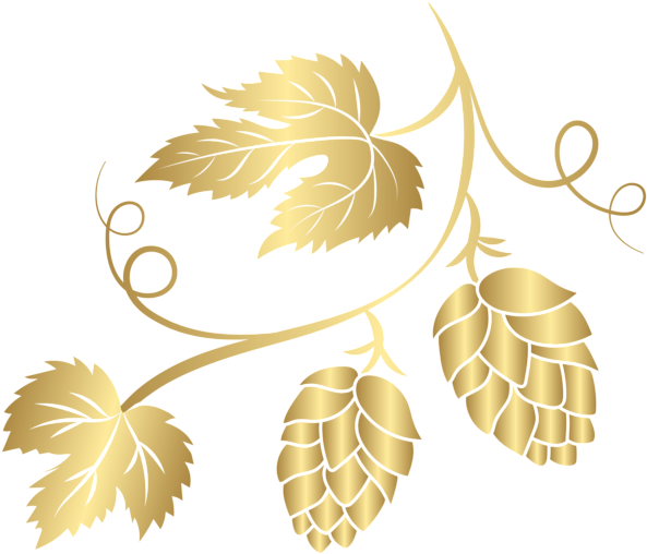 Download Gold Hop Transparent Png Clip Art Image - Transparent Hop Png ...