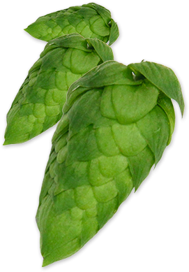 Download Hop-cascade - Cascade Hop - Full Size PNG Image - PNGkit