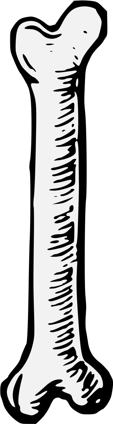 Download Bone - Mobile Phone - Full Size PNG Image - PNGkit