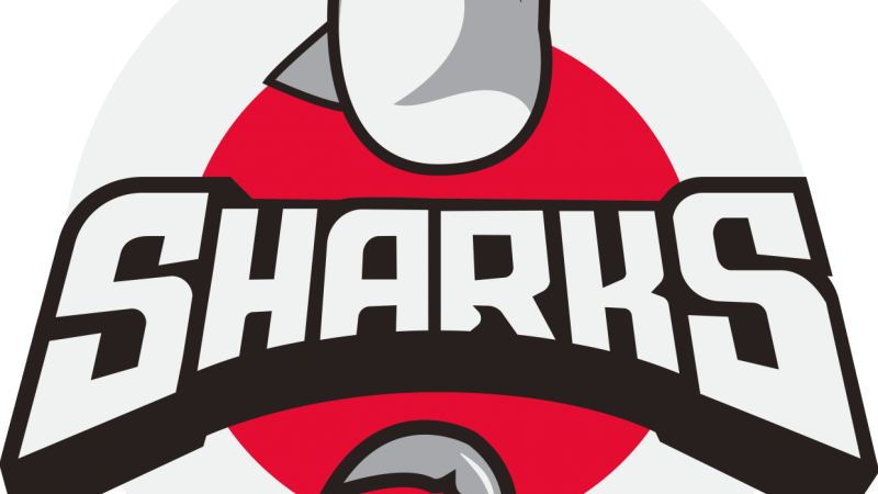 Download Sharks Basketball Team Logo - Basketball Team - Full Size PNG ...