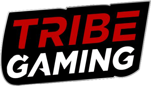 Download Tribe Gaminglogo - Gaming Twitter Banner - Full Size PNG Image ...