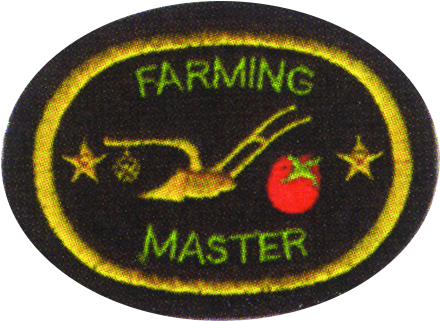 Download Pictures Of Sda Pathfinders Honors - Adventist Youth Honors ...