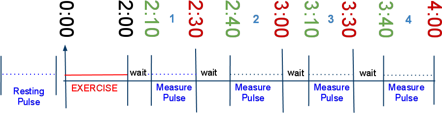 Download Pulse & Heart Rate - Diagram - Full Size PNG Image - PNGkit