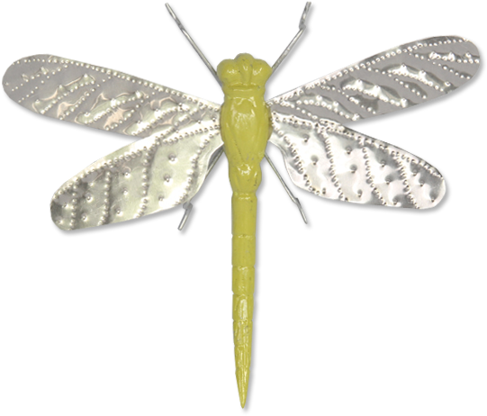 Download Green Dragonfly - Net-winged Insects - Full Size PNG Image ...