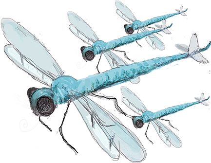 Download First World War Flying Machines - Net-winged Insects - Full ...