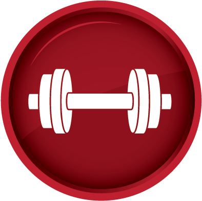 Download A Horse's Body Tends To Add New Muscle Cells At Its - Black ...