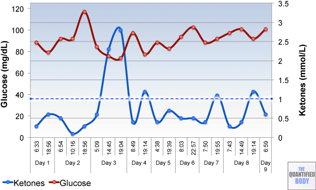 Download Blood Glucose & Ketone Levels At Different Times Of ...
