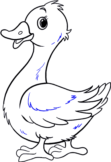 Download How To Draw Duck - Croquis De Un Pato - Full Size PNG Image ...