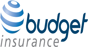 Download Incorrect Debit Order - Budget Insurance Company - Full Size ...