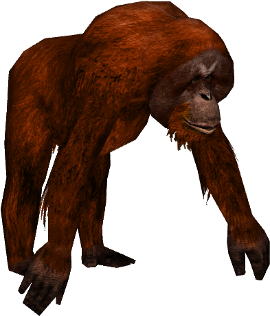 Download Sumatran Orangutan - Brainoid Zt2 - Full Size PNG Image - PNGkit