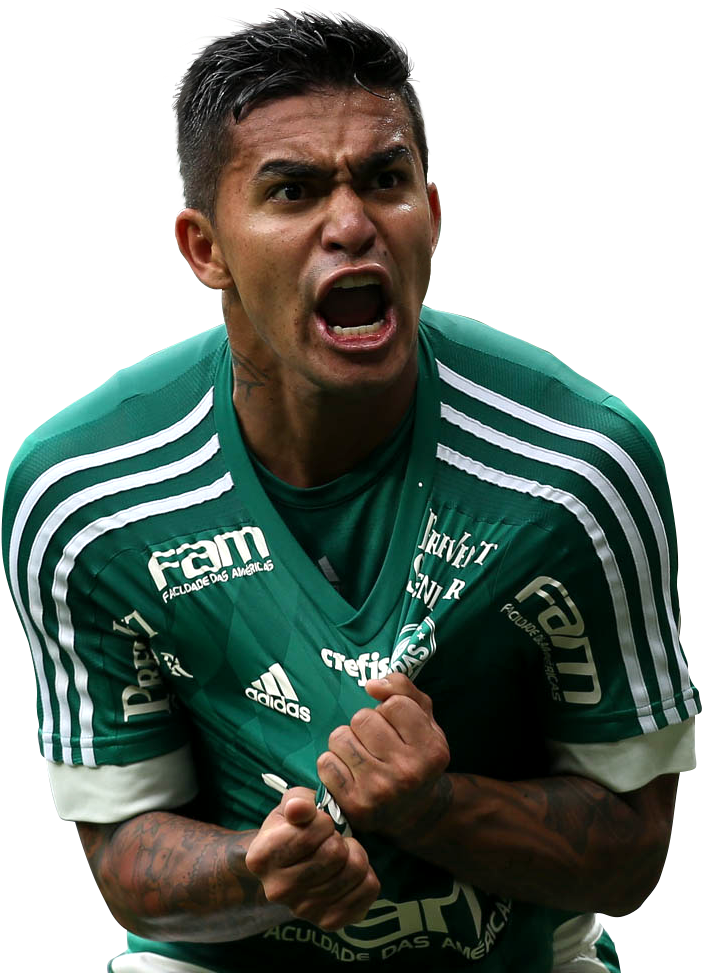 Download Dudu Render - Dudu Palmeiras Png - Full Size PNG Image - PNGkit