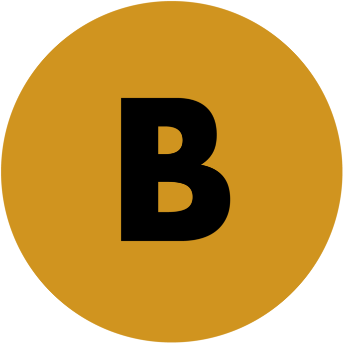 Download Bronze - Icon - Full Size PNG Image - PNGkit