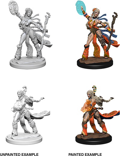 Download Human Female Sorcerer - Female Human Sorcerer Miniature - Full ...