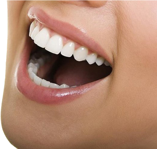 Download Smile Teeth Png Download - Adult Teeth - Full Size PNG Image ...