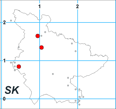 Download Pynym Map - Diagram - Full Size PNG Image - PNGkit