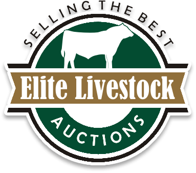 Download Logo Logo - Livestock Auction Logo - Full Size PNG Image - PNGkit