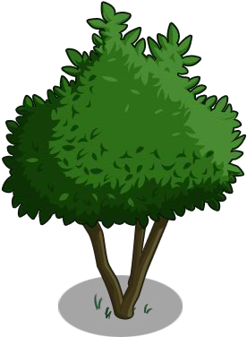 Download Avocado Tree 00-icon - Gem Fruit - Full Size PNG Image - PNGkit