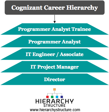 Download Organisational Structure Of Cognizant - Full Size PNG Image ...