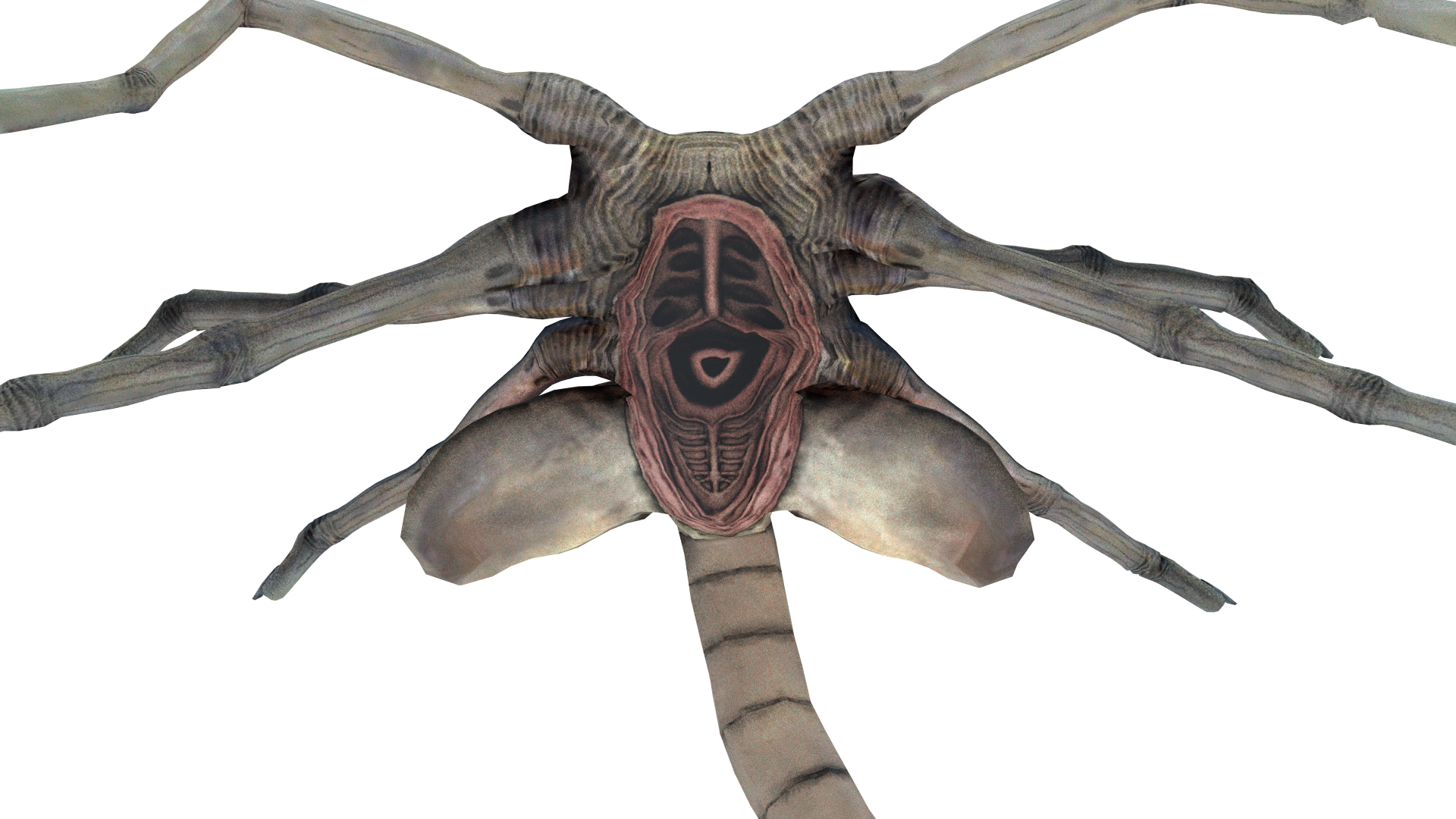 Download Facehugger By Dustin Dover Dovers, My Arts - Art - Full Size ...