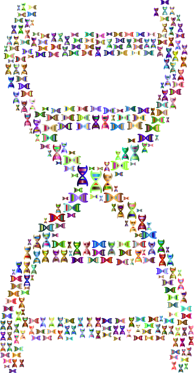 Download The Double Helix - Dna Image No Background - Full Size PNG ...