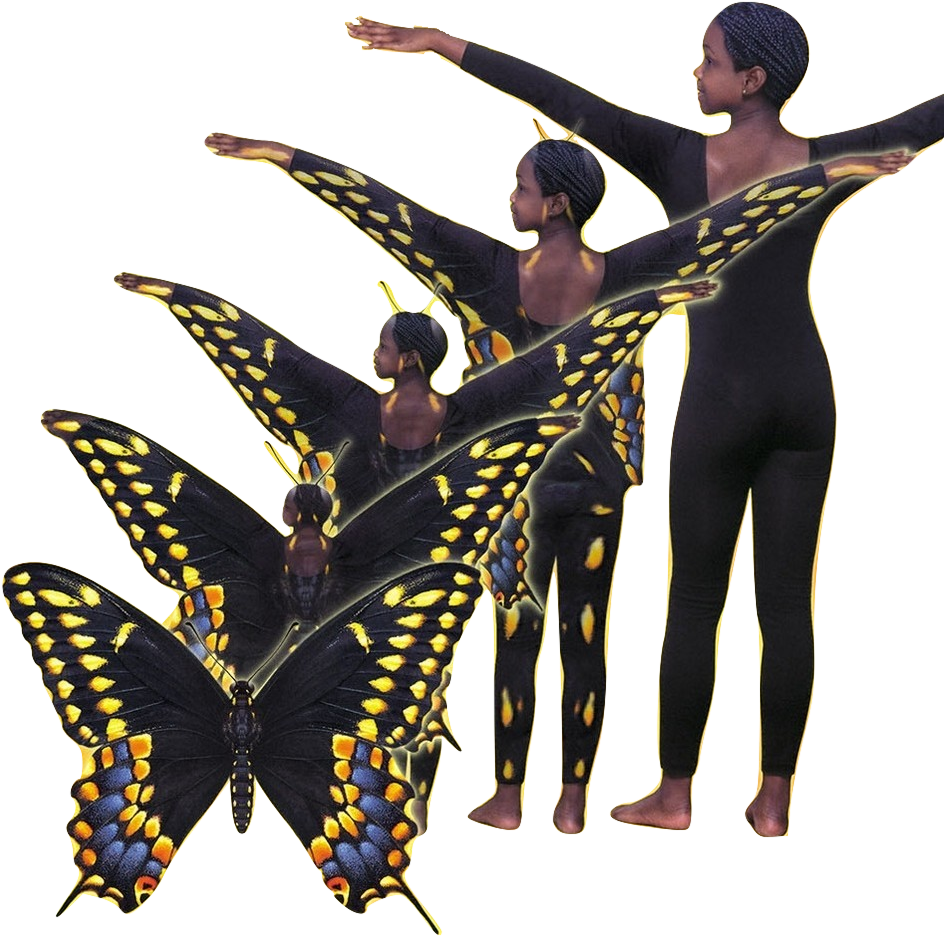 Download Animorphs 19 Transparent Pngs The Depature By ...