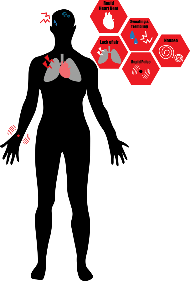 Download Victoria Williamson %7c The Depaulia - Attacks - Full Size PNG ...