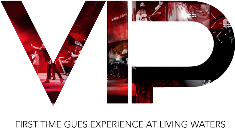 Download Vip - Portable Network Graphics - Full Size PNG Image - PNGkit