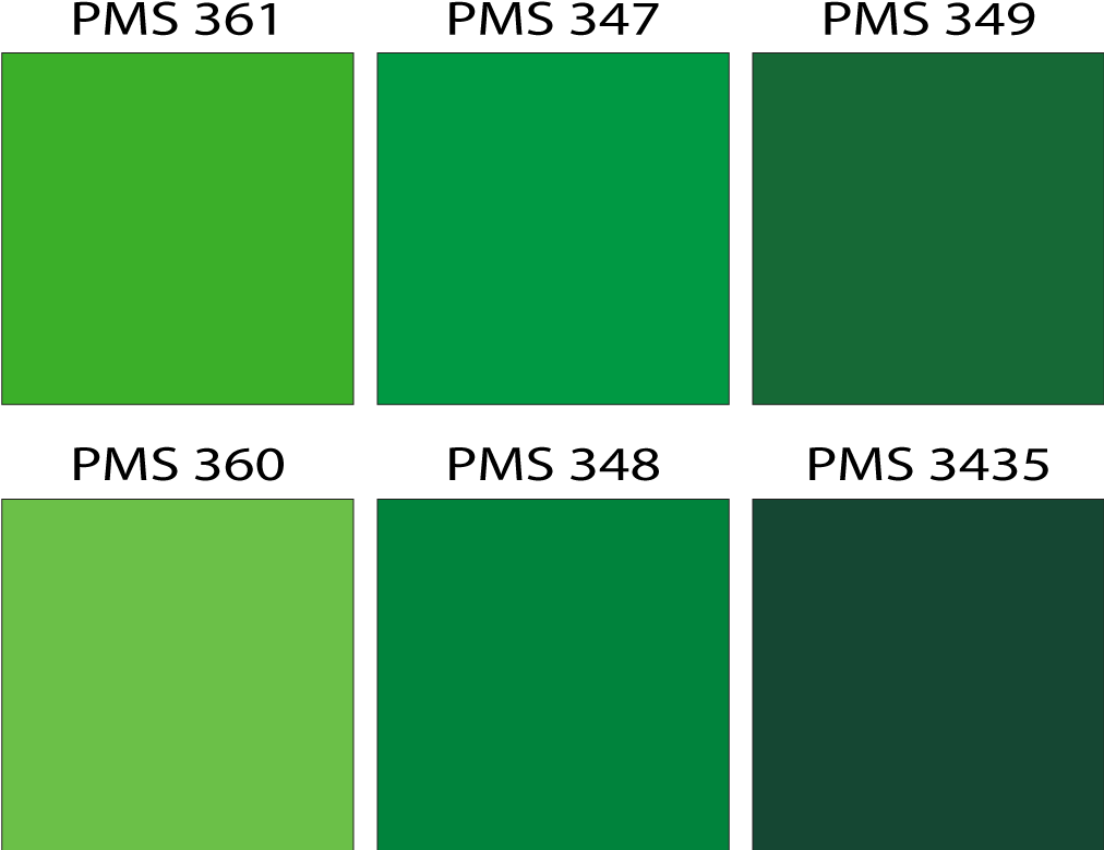 Download Pms-colors - Pms Dark Green - Full Size PNG Image - PNGkit