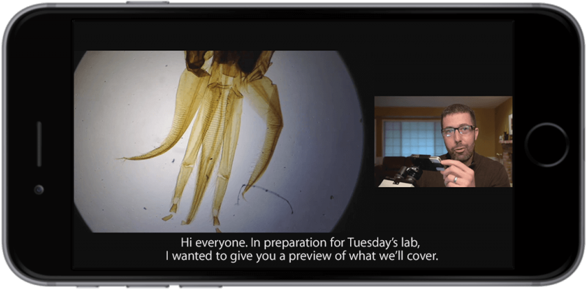 Download Section 508-compliant Captioning And Accessibility - Iphone ...