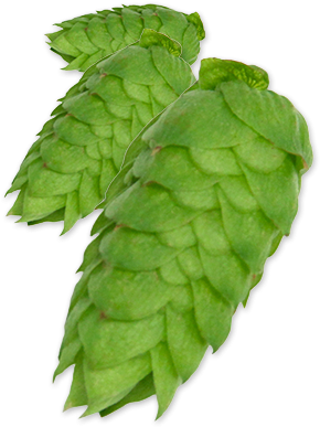 Download Comet Pellet Hops - Hops - Full Size PNG Image - PNGkit