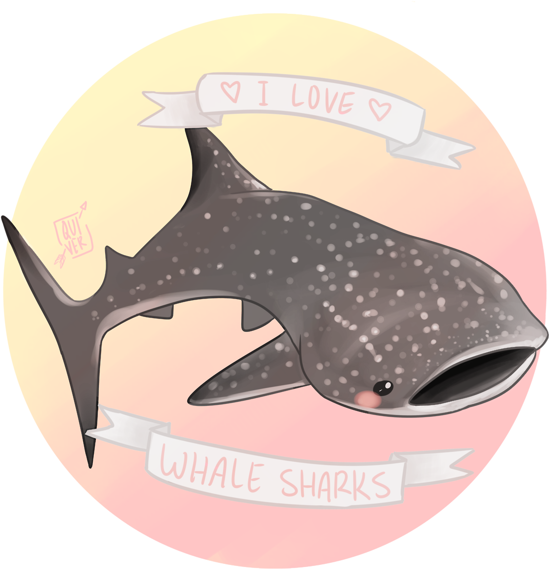 Download Killer Whale - Full Size PNG Image - PNGkit