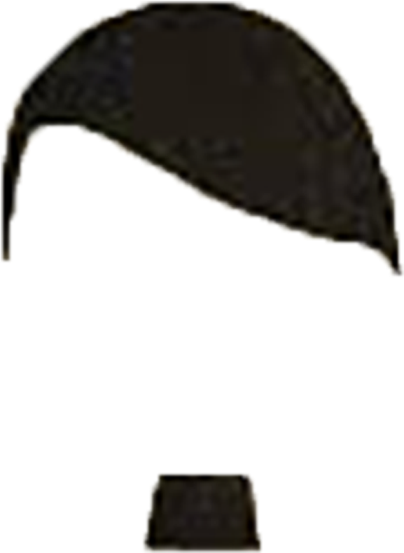 Download Filterhitler - Snapchat Custom Filter Hitler - Full Size PNG ...