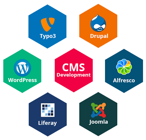 Download Cms Development - Wordpress - Full Size PNG Image - PNGkit