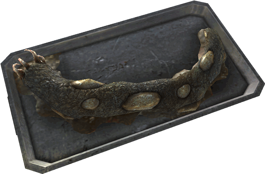 Download Fo3mz Alien Worm Food - Fallout3 Alien Food - Full Size PNG ...