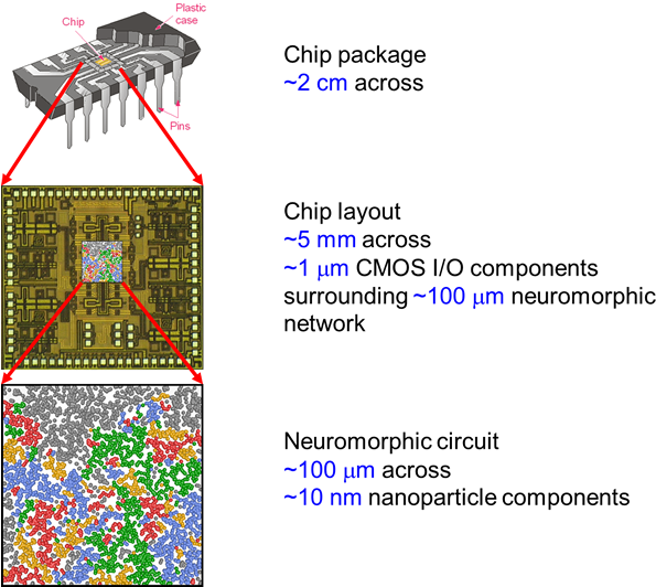 Download Computer Chip Brain Cmos Circuit - University Of Canterbury ...