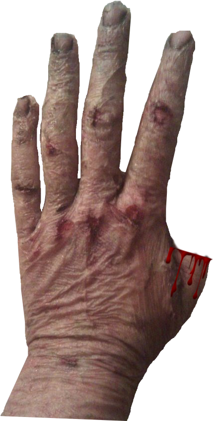 Download 4 Scars - Sign Language - Full Size PNG Image - PNGkit