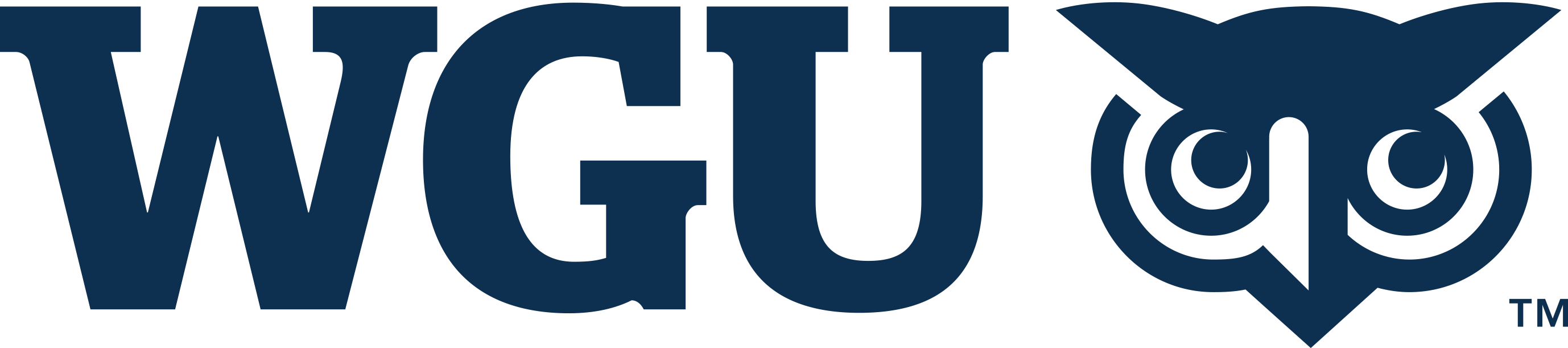 Download Wgu Texas Logo - Full Size PNG Image - PNGkit