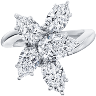 Download Winston™ Cluster By Harry Winston, Large Diamond Ring ...